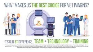 Sage Veterinary Imaging | Human-quality imaging for pets
