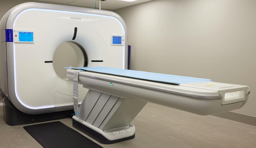 CT Scans for Pets: Everything You Need to Know — Sage Veterinary Imaging