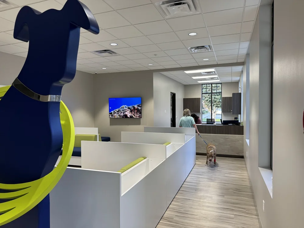 We get ANSWERS — Sage Veterinary Imaging | Human-quality imaging for pets