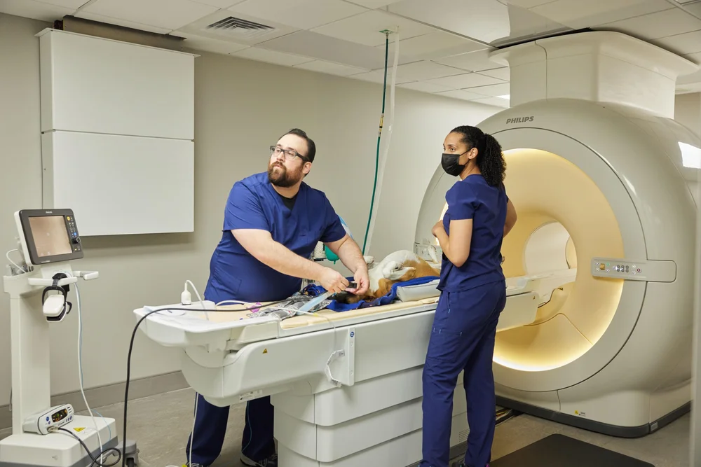 Musculoskeletal MRI Made Simple: A Beginner’s Course for Vet Techs ...