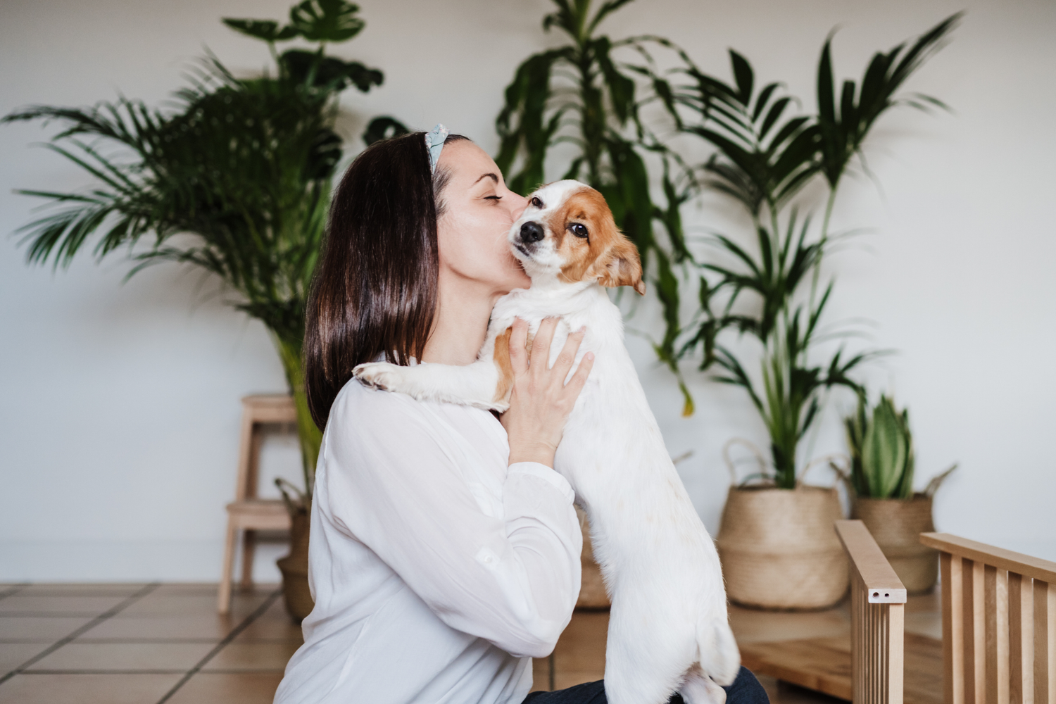 5 ‘Can’t-Miss’ Neurological Symptoms in Small Dog Breeds — Sage ...