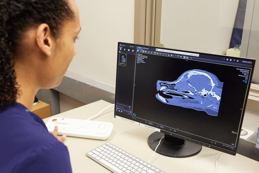 How to Diagnose and Treat DM in Dogs — Sage Veterinary Imaging | Human ...