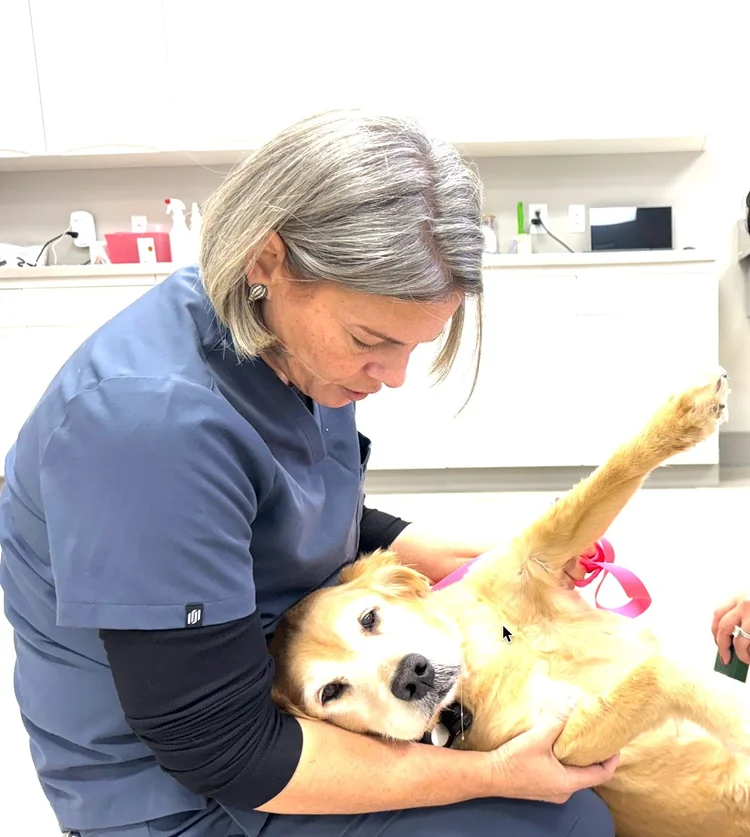 Meet our Radiologists — Sage Veterinary Imaging | Human-quality imaging ...