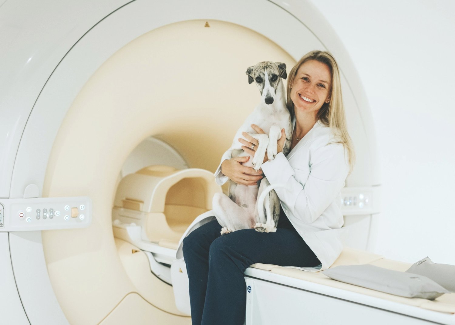 Musculoskeletal MRI Made Simple: A Beginner’s Course for Vet Techs ...