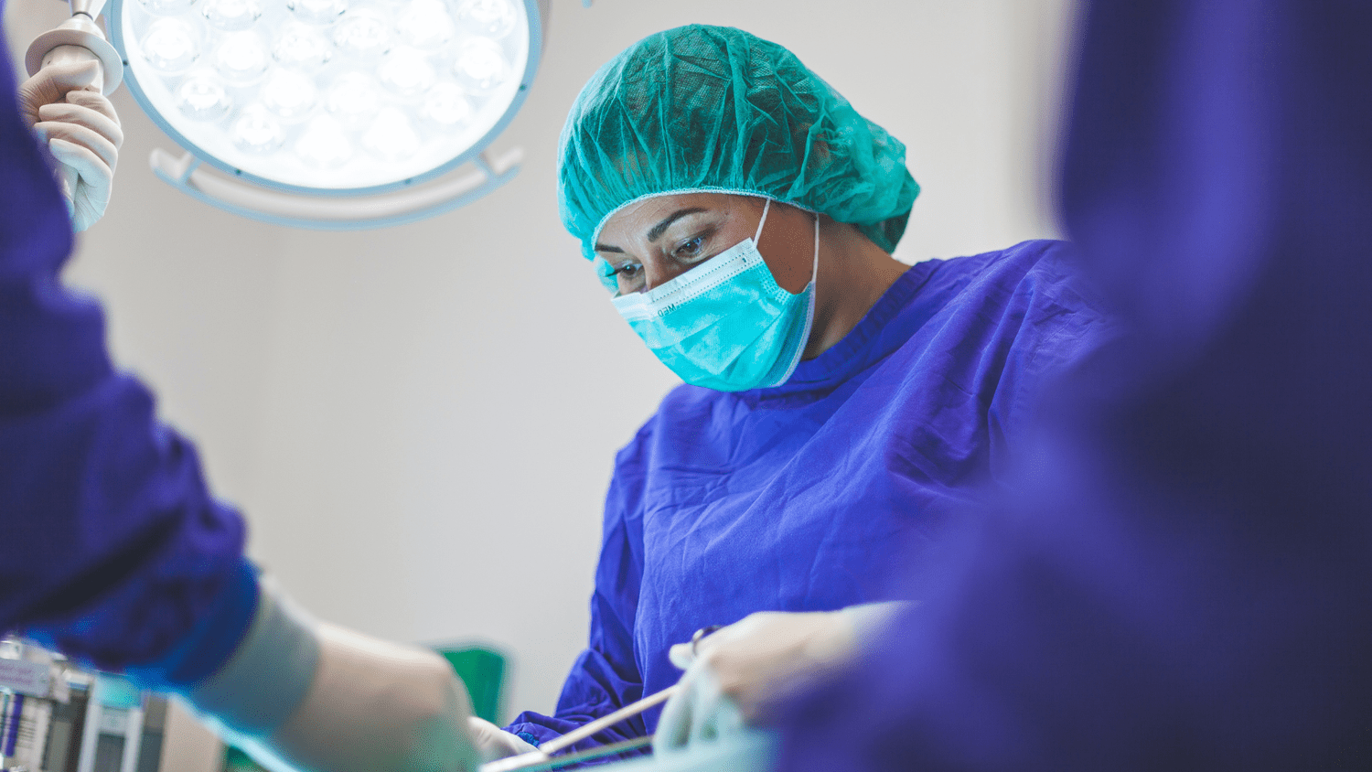 The Difference Between a DVM Radiologist and an MD Radiologist — Sage ...