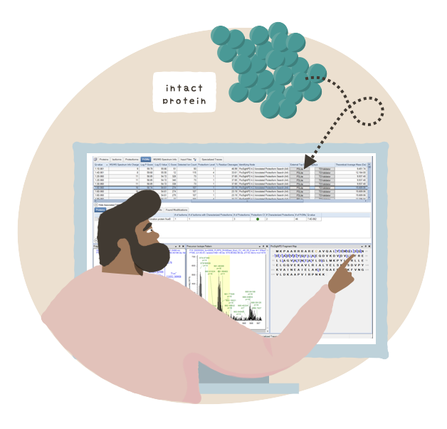 Explore Software — Proteinaceous