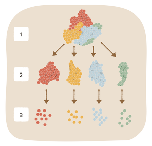Explore Software — Proteinaceous