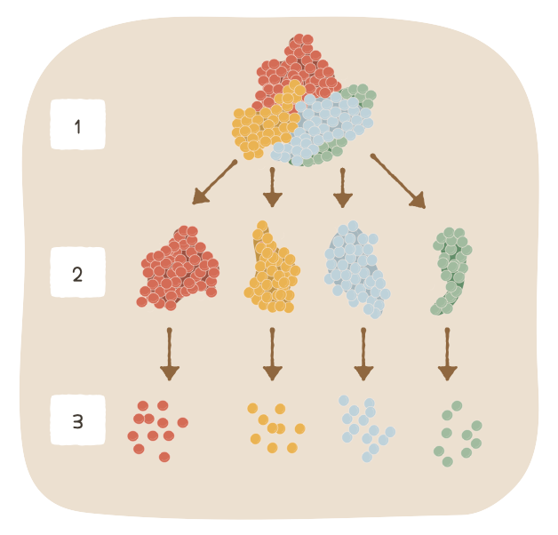 Explore Software — Proteinaceous