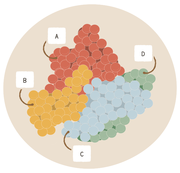 Explore Software — Proteinaceous