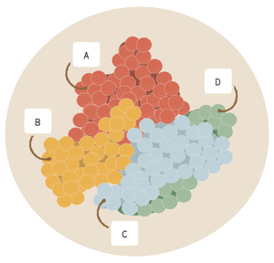 Explore Software — Proteinaceous