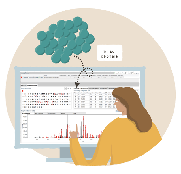 Explore Software — Proteinaceous
