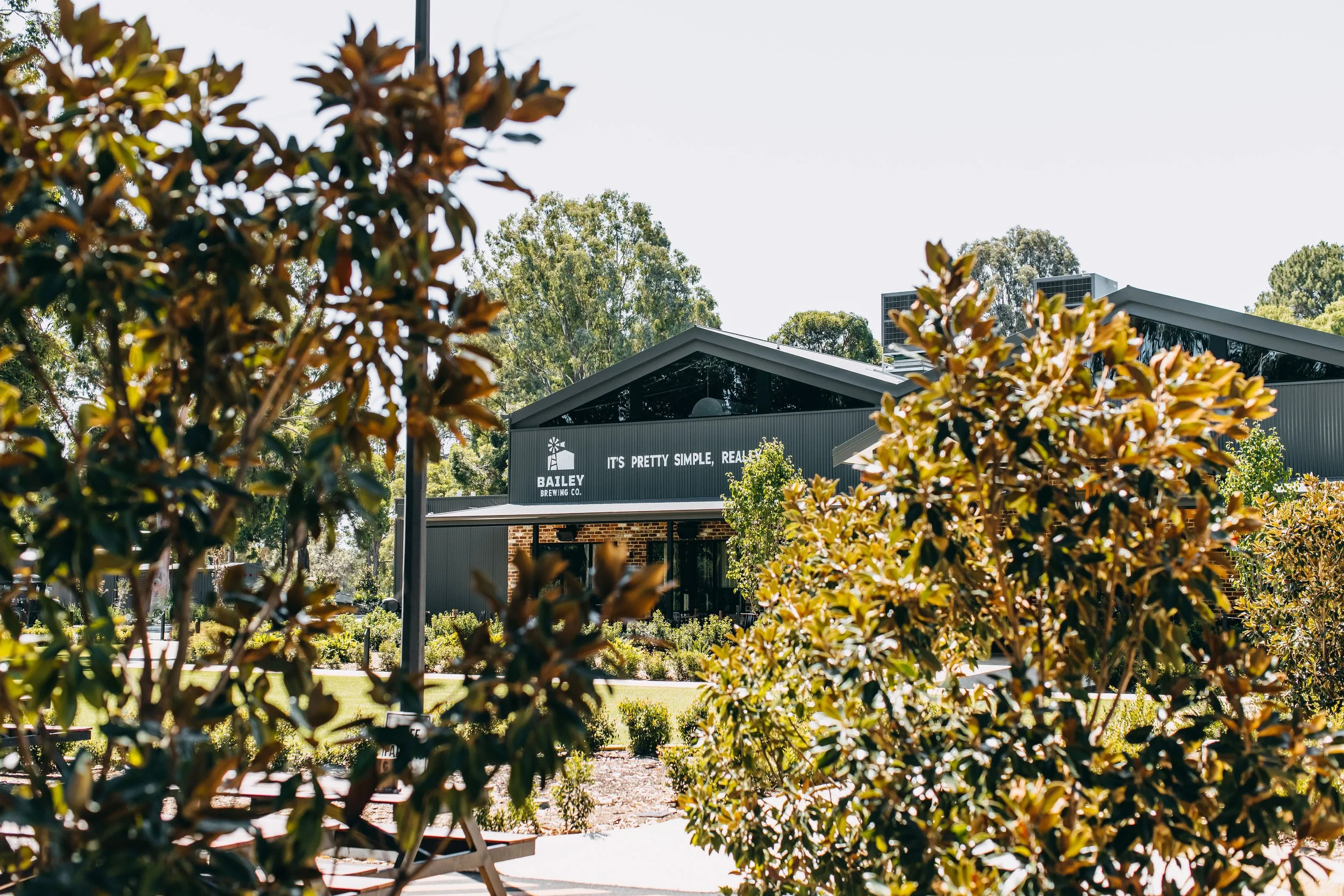Bailey Brewing Co.