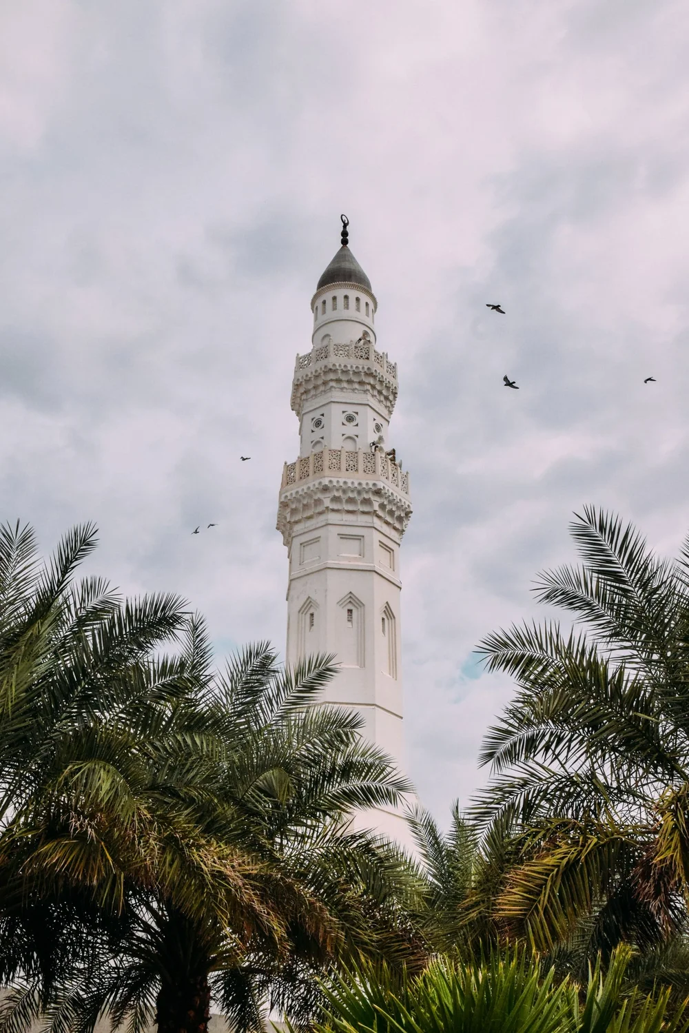 The Team — The Thinking Muslim