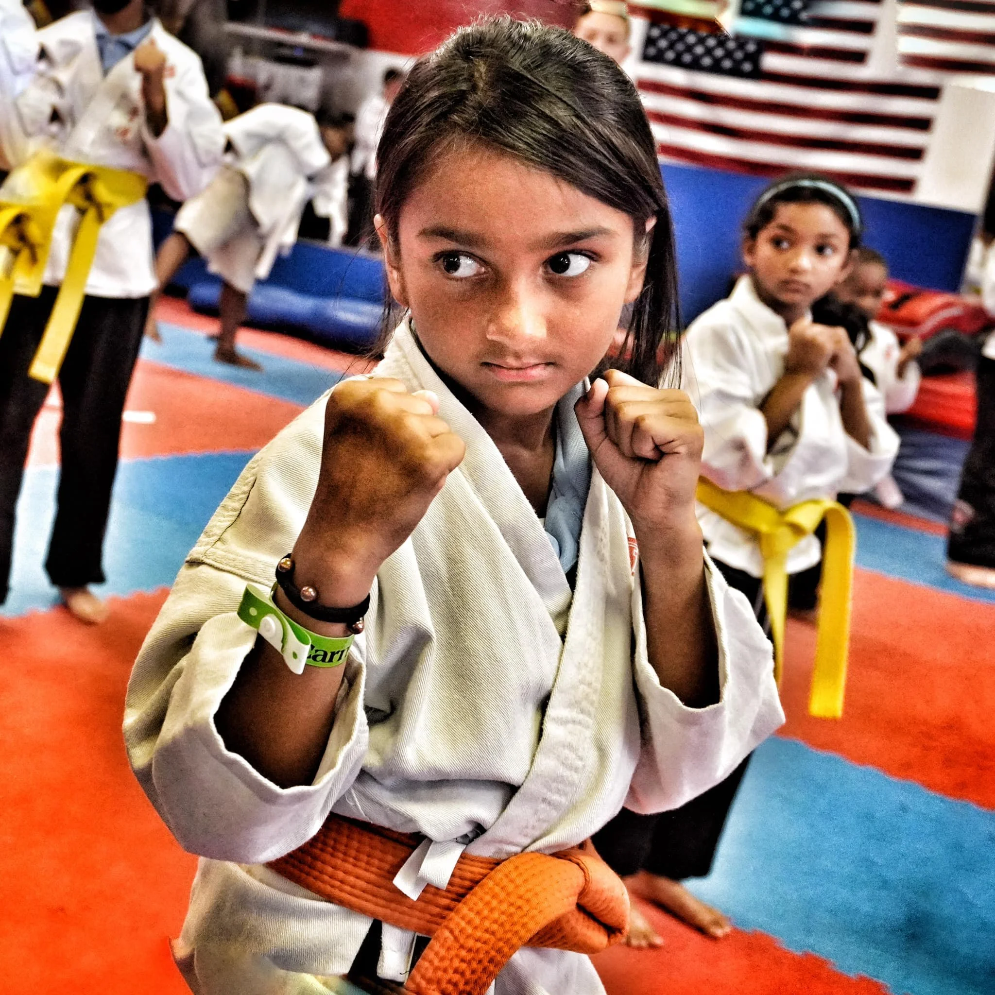 Winter Garden Karate