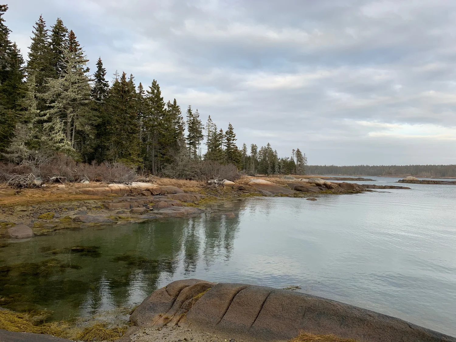 Granite Island and Story Trails — Vinalhaven Land Trust