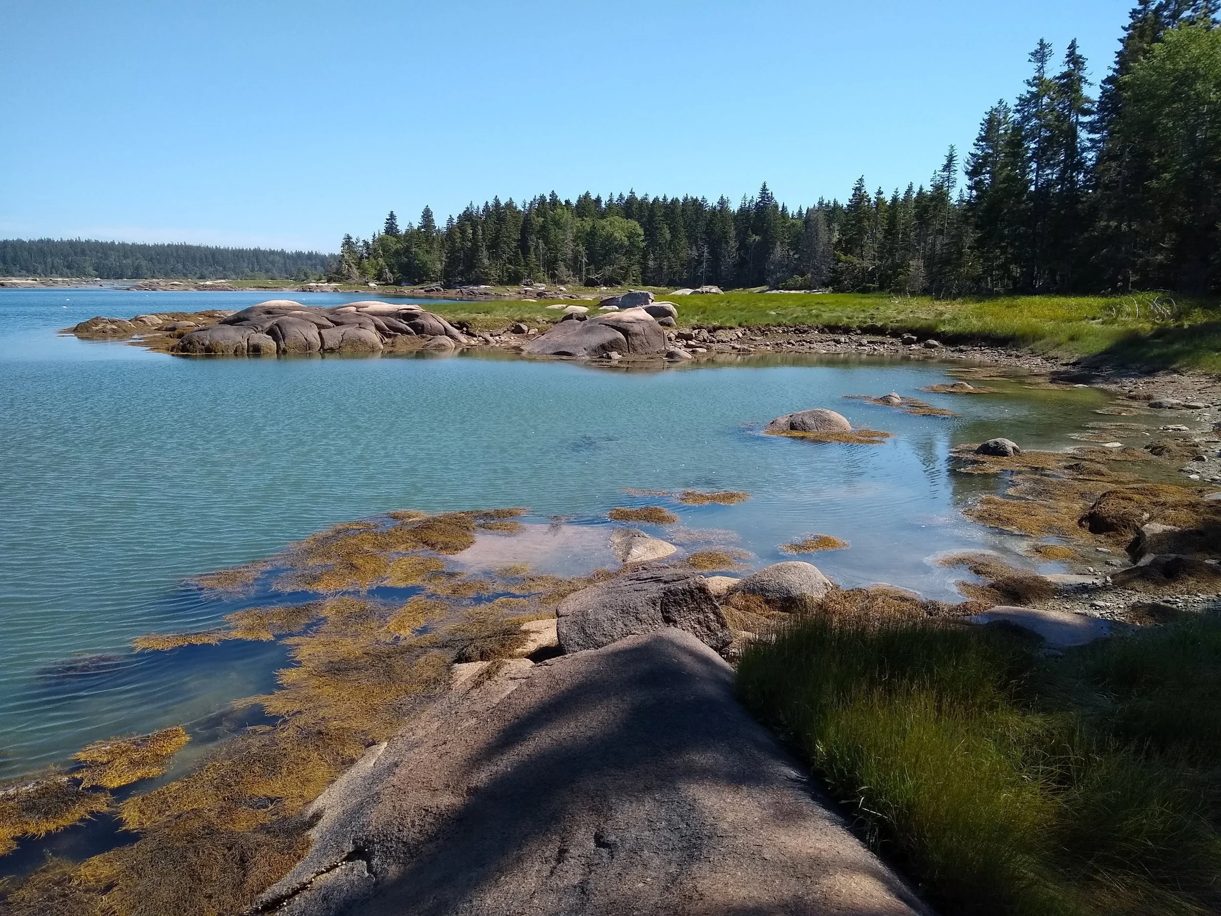 Granite Island and Story Trails — Vinalhaven Land Trust