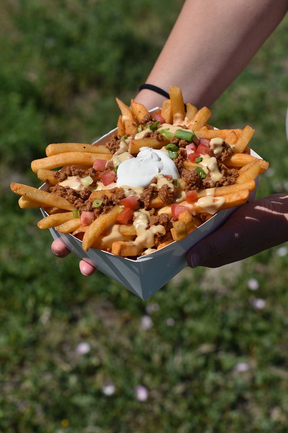 Loaded Taco Fries — Ready Foods