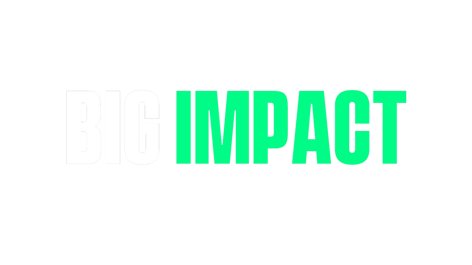 Big Impact Sponsor — Big Brothers Big Sisters of Mercer County