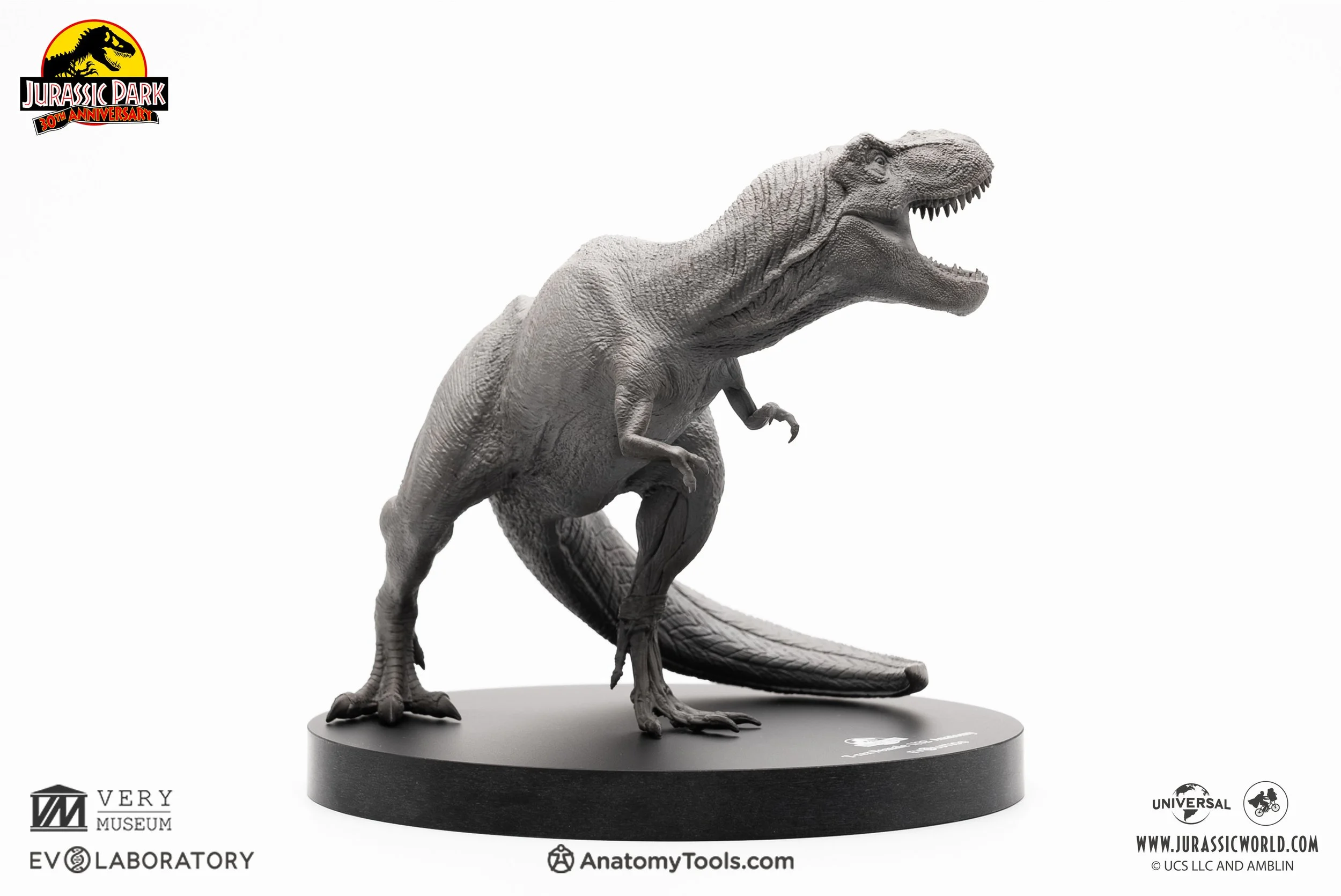 Tyrannosaurus Rex Female 1:32 Anatomy Sculpture - Bronze Patina ...