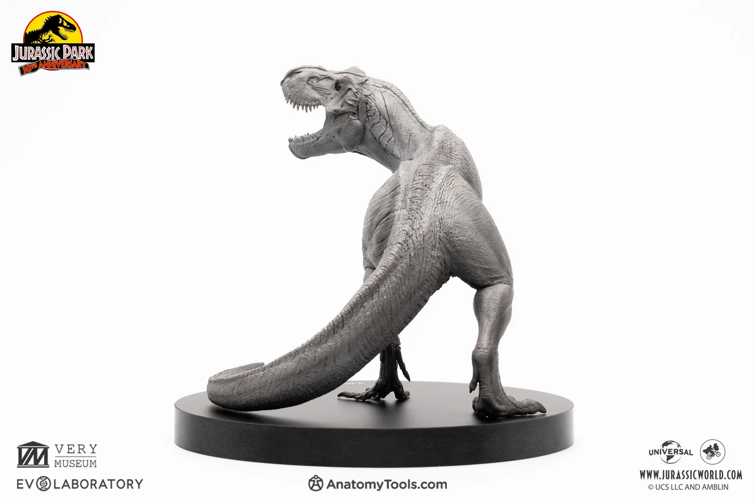Tyrannosaurus Rex Female 1:32 Anatomy Sculpture - Bronze Patina ...