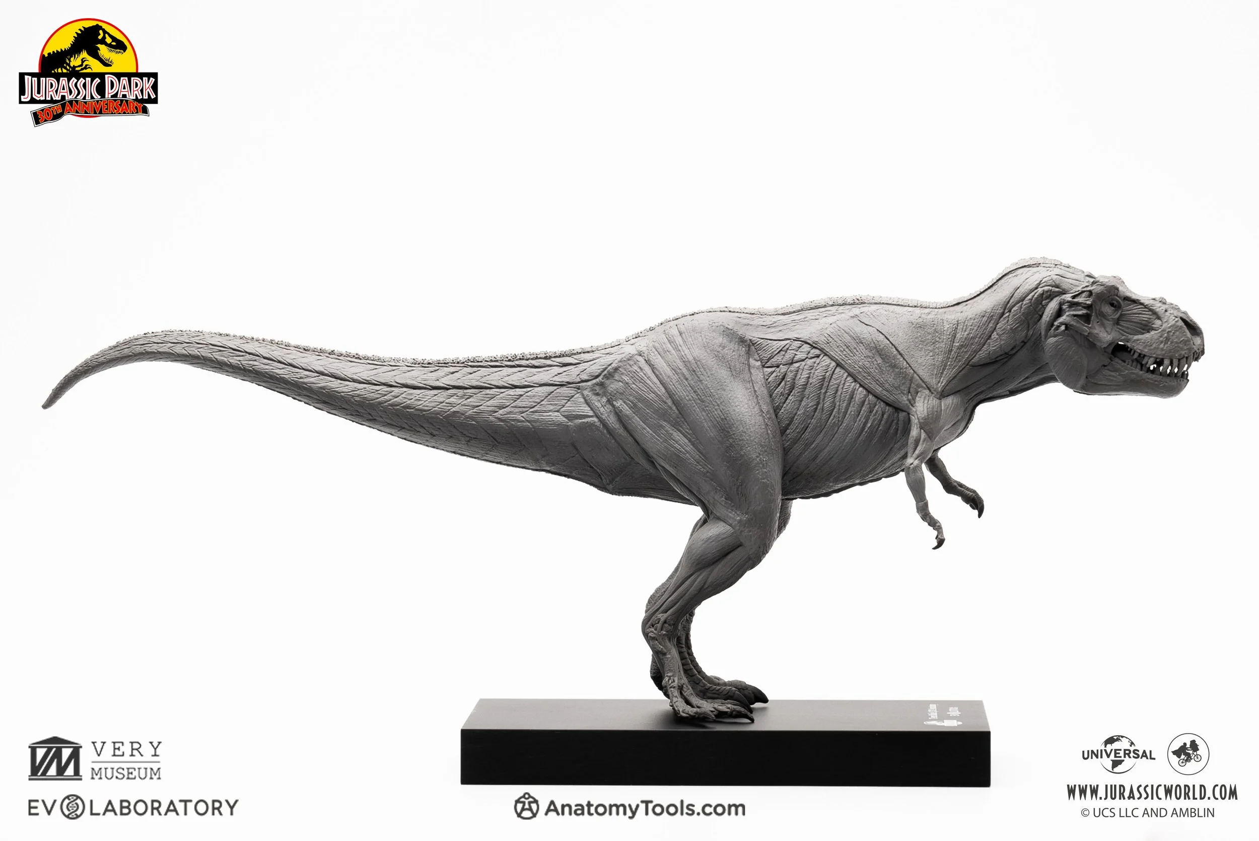 Trex Male 1:32 Anatomy BP — EVOLABORATORY