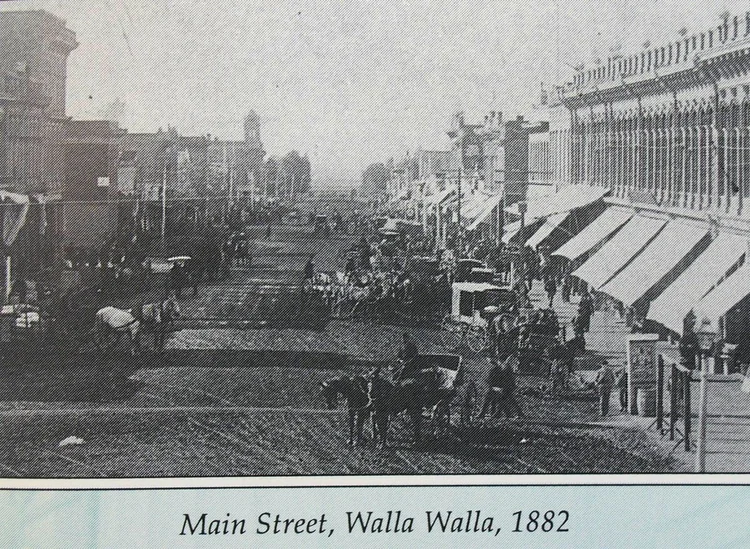 Canoe Ridge Vineyard