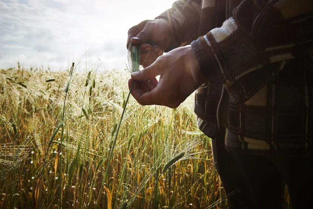 Farm Photography