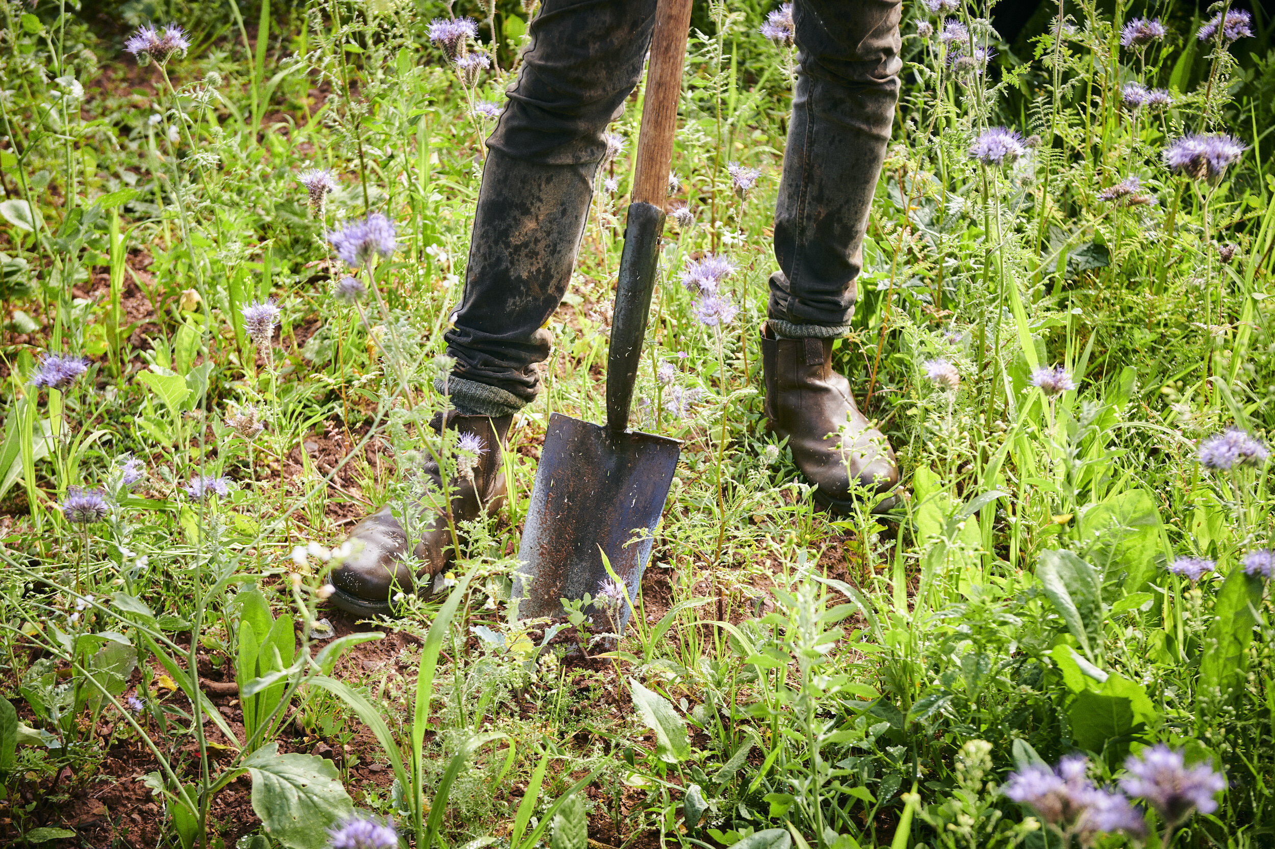 Farming | Discover Farming Photography — Scott Grummett - Food ...