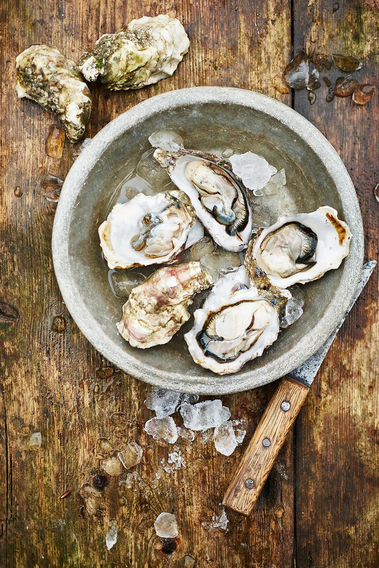 / Wild Cooking — Scott Grummett - Food Photographer & Director