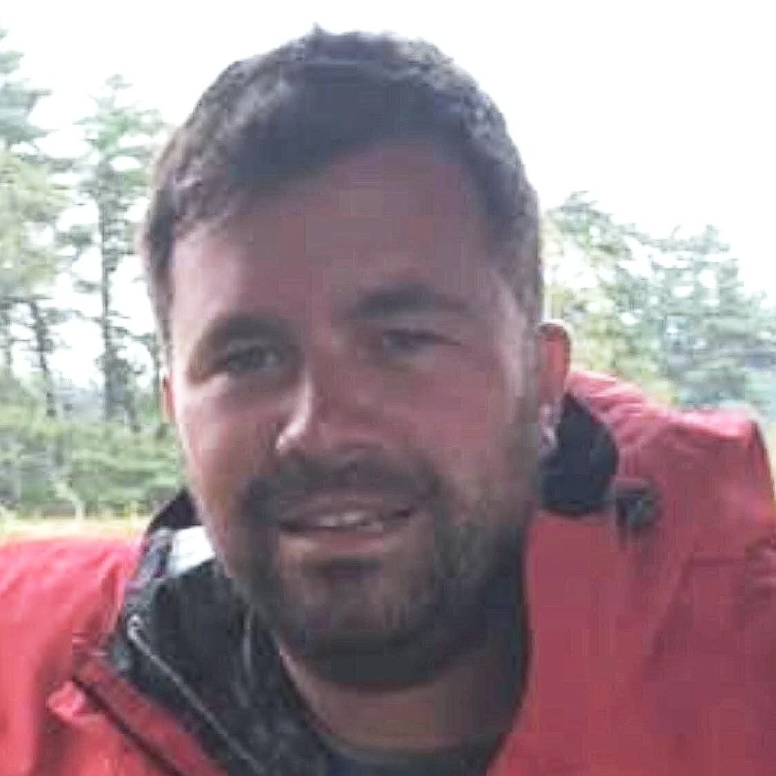 Team — Treehouse Design