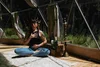 Ancient Beauties: Ferns and Where to Find Them On Bowen — Nectar Yoga