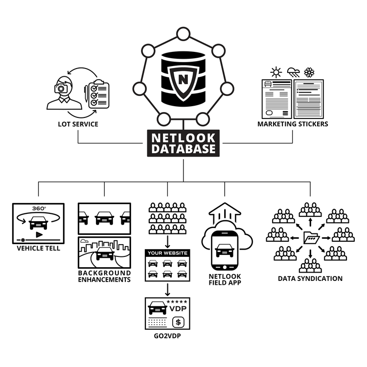 NetLook Software Platform — NetLook