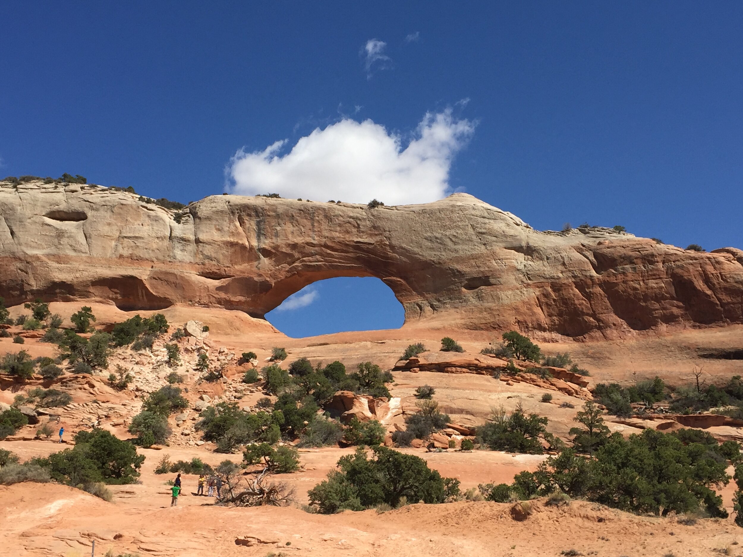 Mize Family Foundation