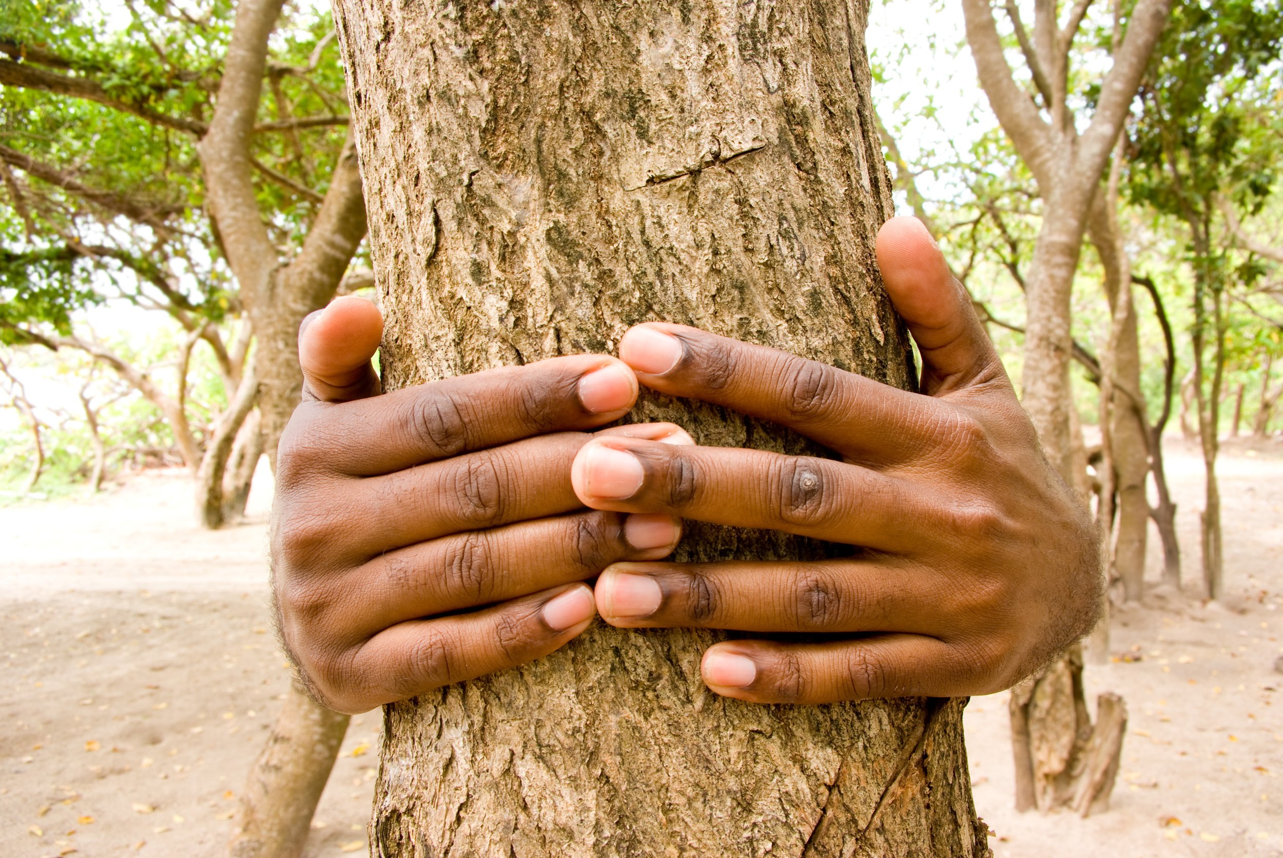 Mize Family Foundation