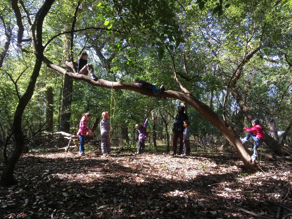 Running With Scissors