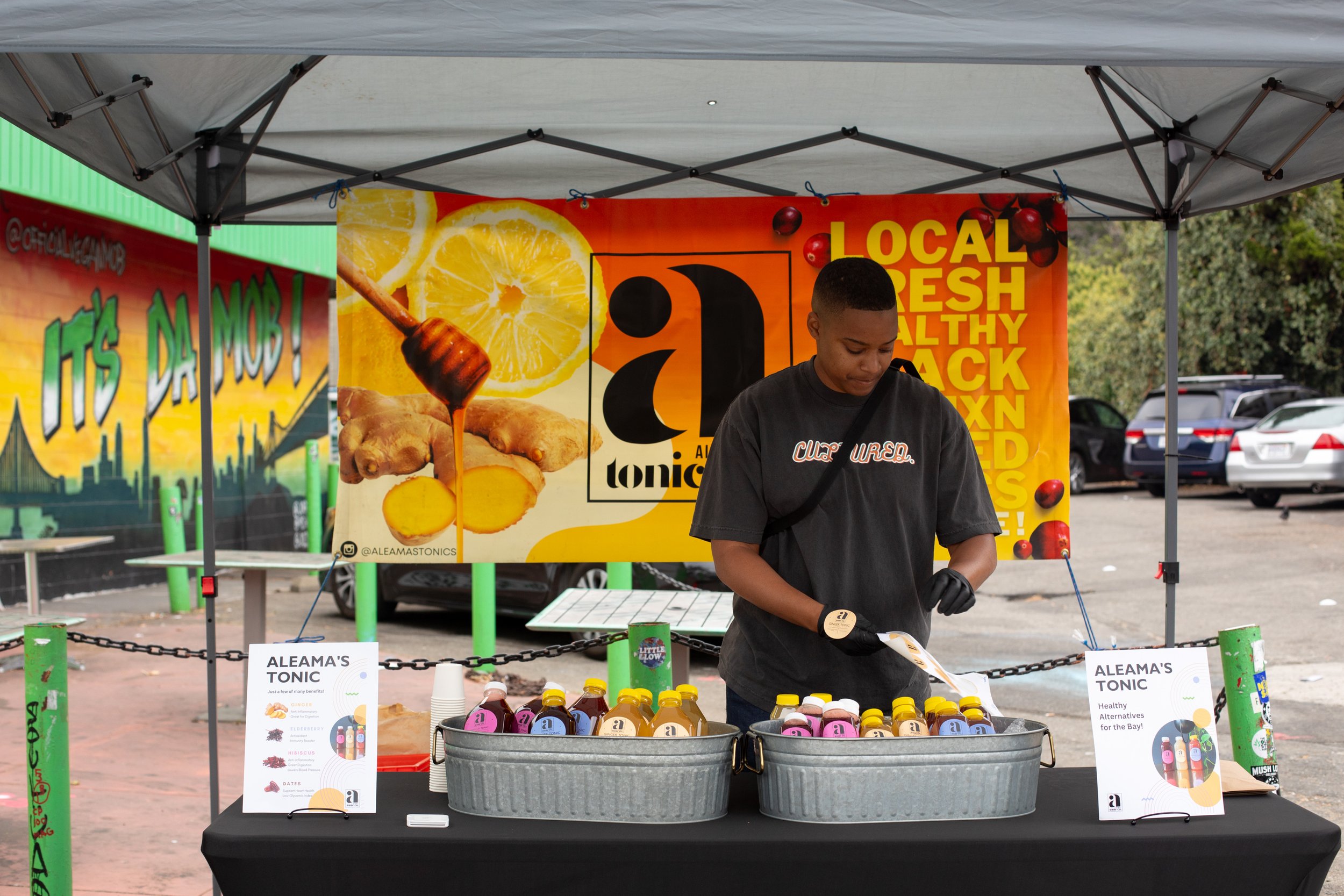 Aleama's Tonics — Kathryn Styer Martínez