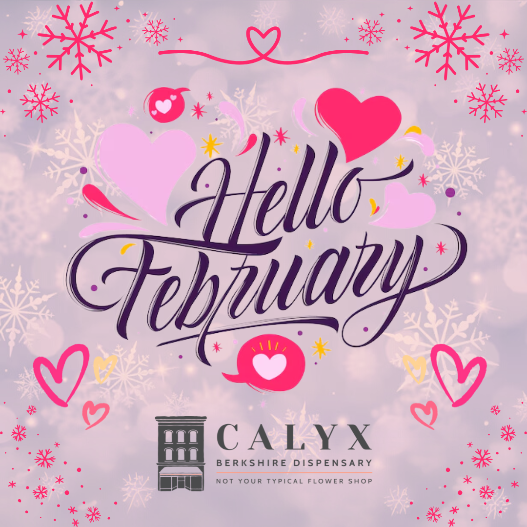 Home — Calyx Berkshire Dispensary