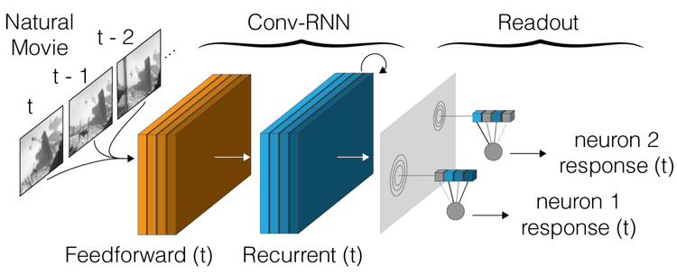 Cubic Millimeter — MICrONS Explorer