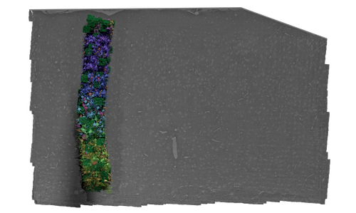 Gallery 1 — MICrONS Explorer