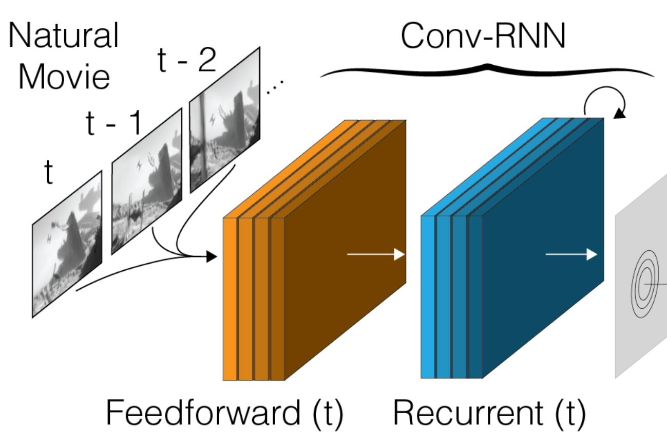 Cubic Millimeter — MICrONS Explorer