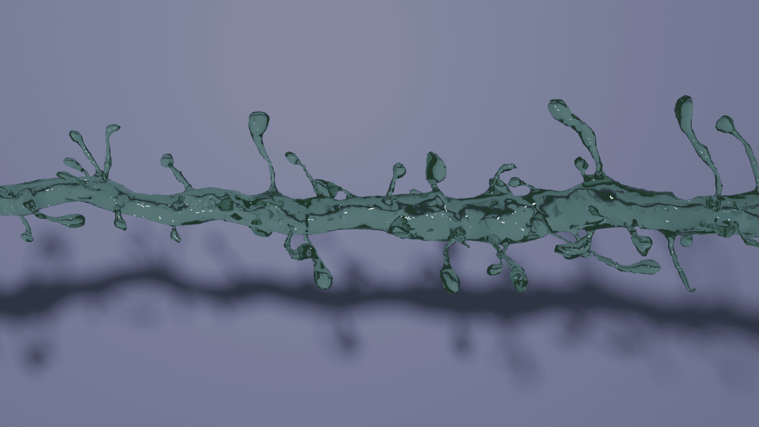 Gallery 1 — MICrONS Explorer