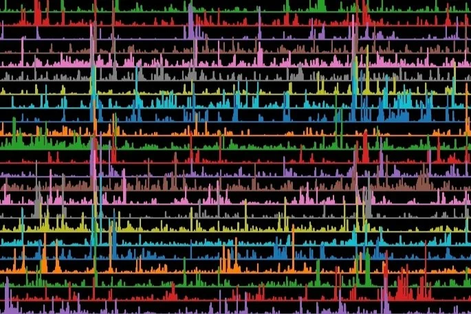 Cubic Millimeter — MICrONS Explorer