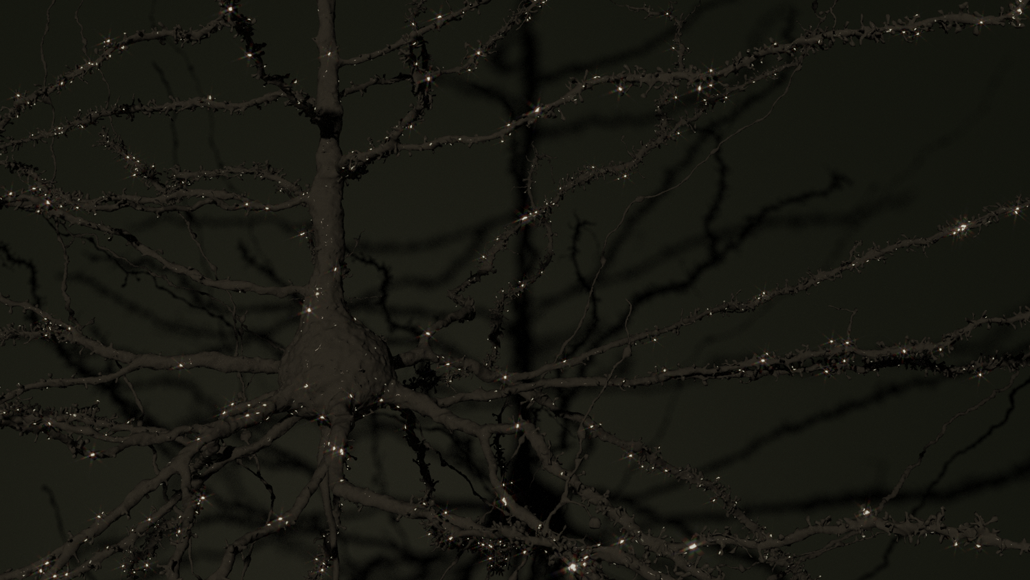 Gallery 1 — MICrONS Explorer