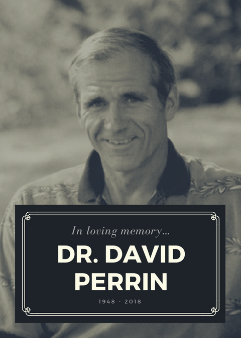 Dr. Dave Perrin