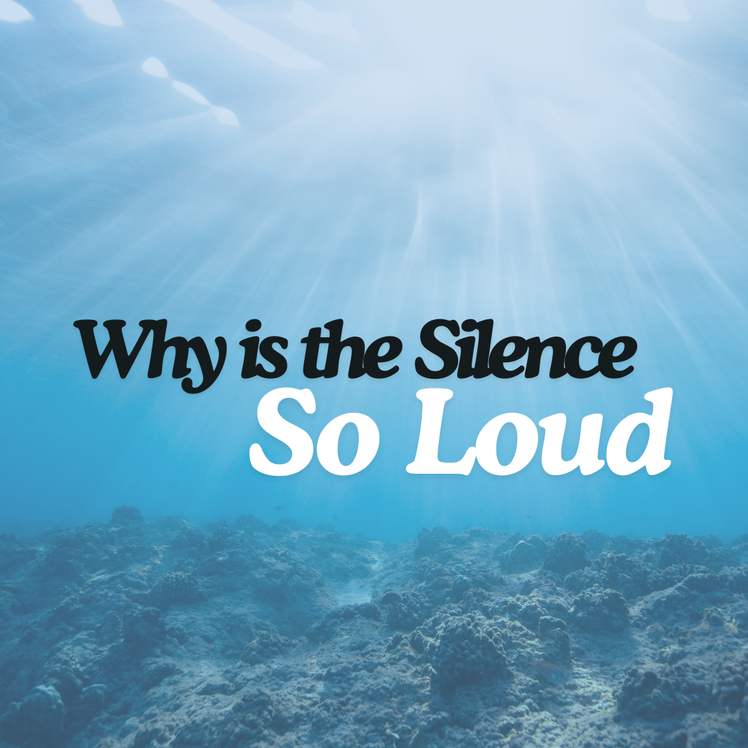 Why is the Silence So Loud? — Trust You Coaching and Consulting