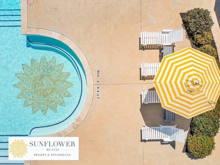 Sunflower Beach