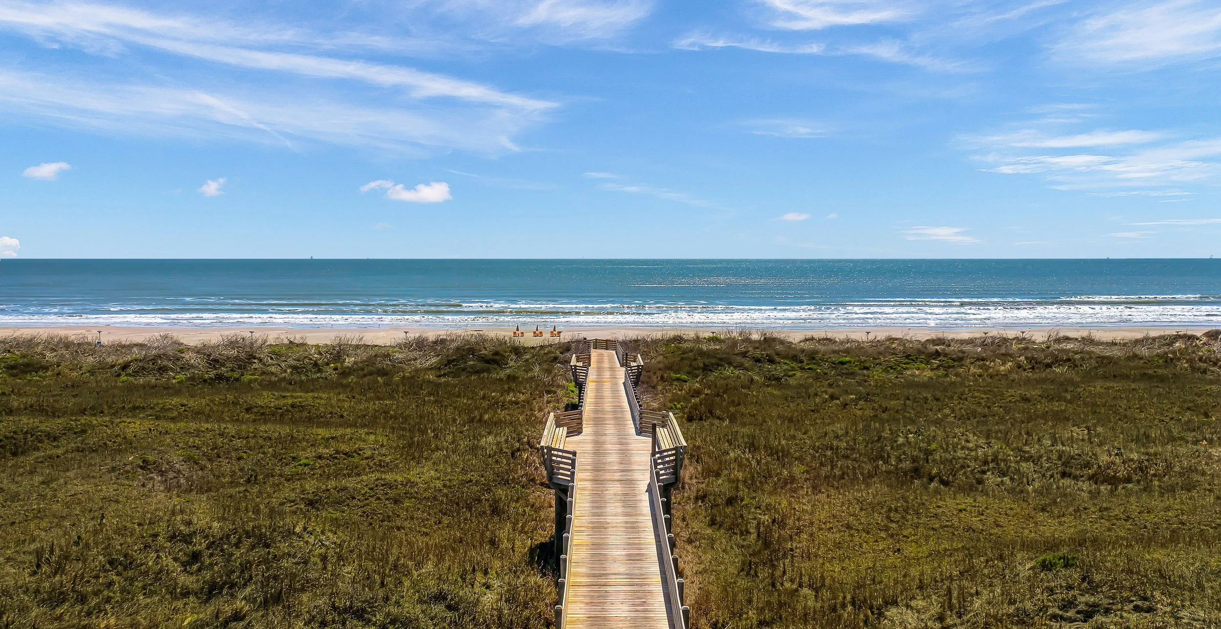Sunflower Beach