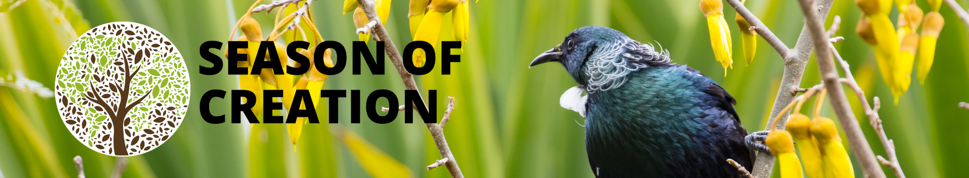 Season of Creation 2024 Opening words | Eco Church Aotearoa