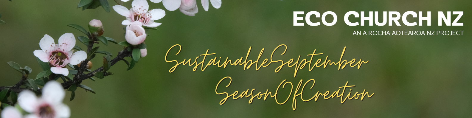 Sustainable September | Season of Creation Aotearoa | Eco Church Aotearoa
