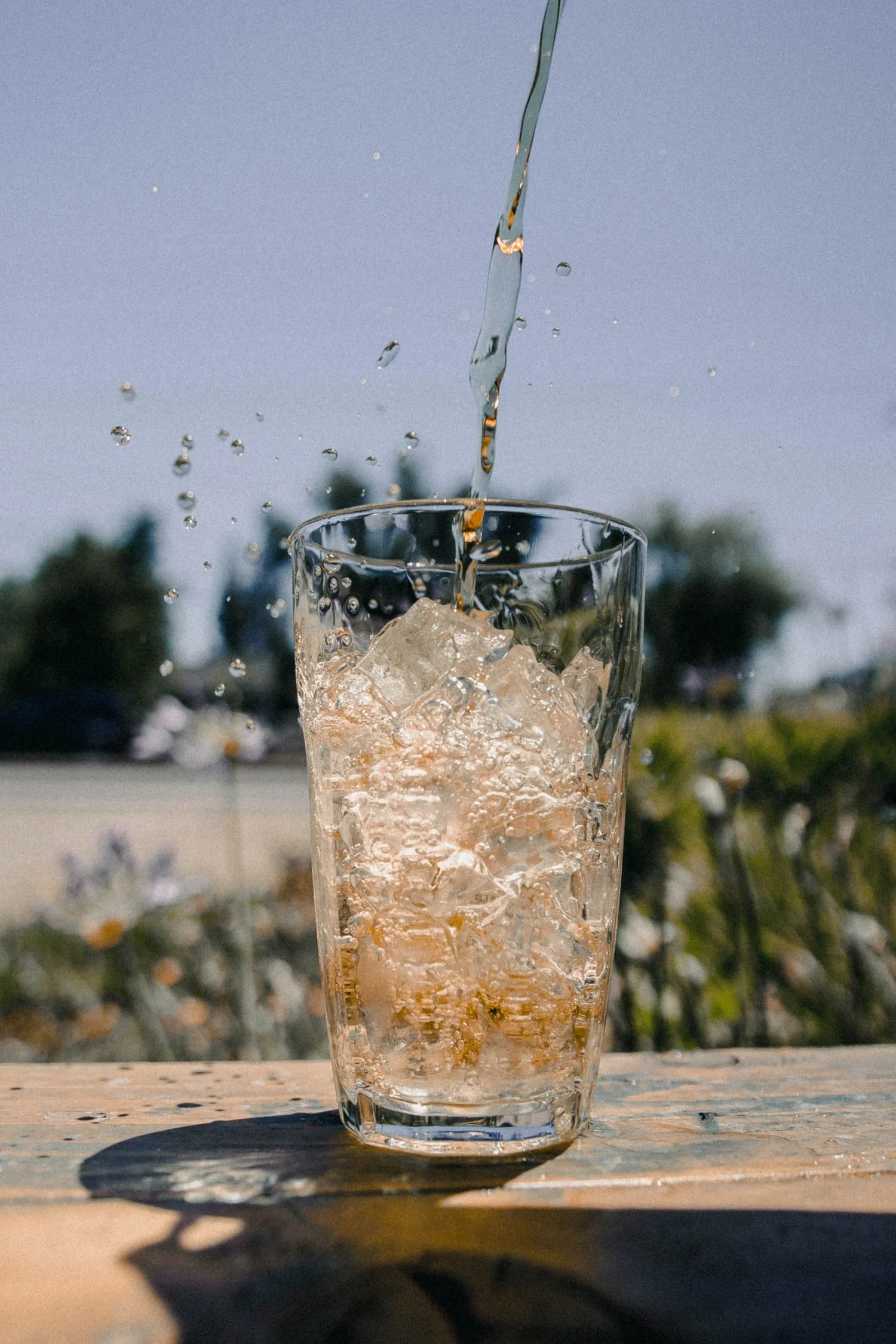 Olipop vs Poppi: The Beverage Battle — Happy Strong Healthy | Weight ...